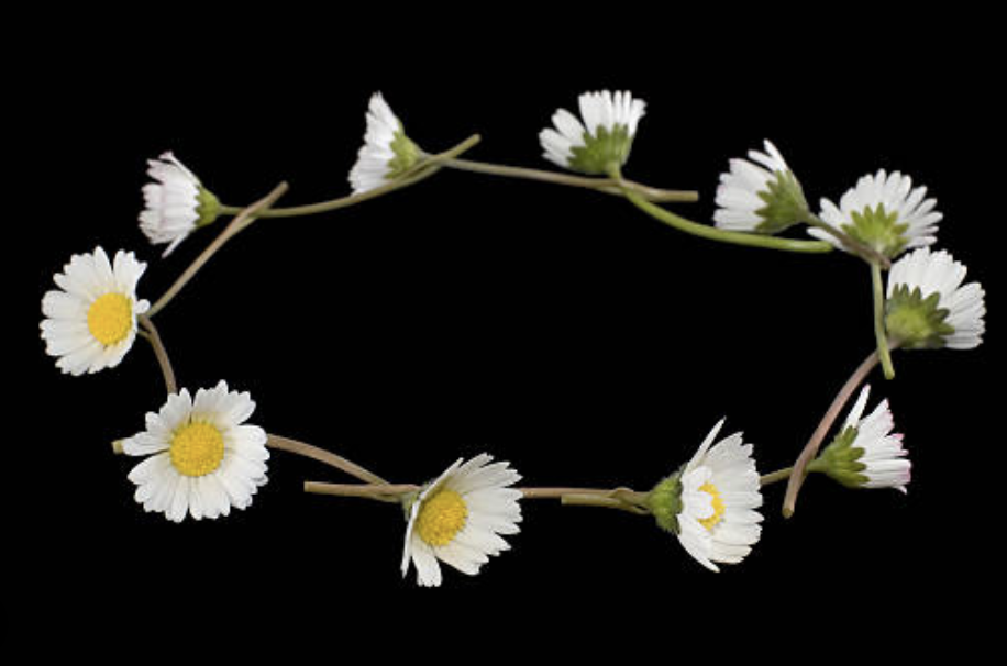 The Daisy Chain Hypothesis: Is cross-currency QE behind stealth bond ...